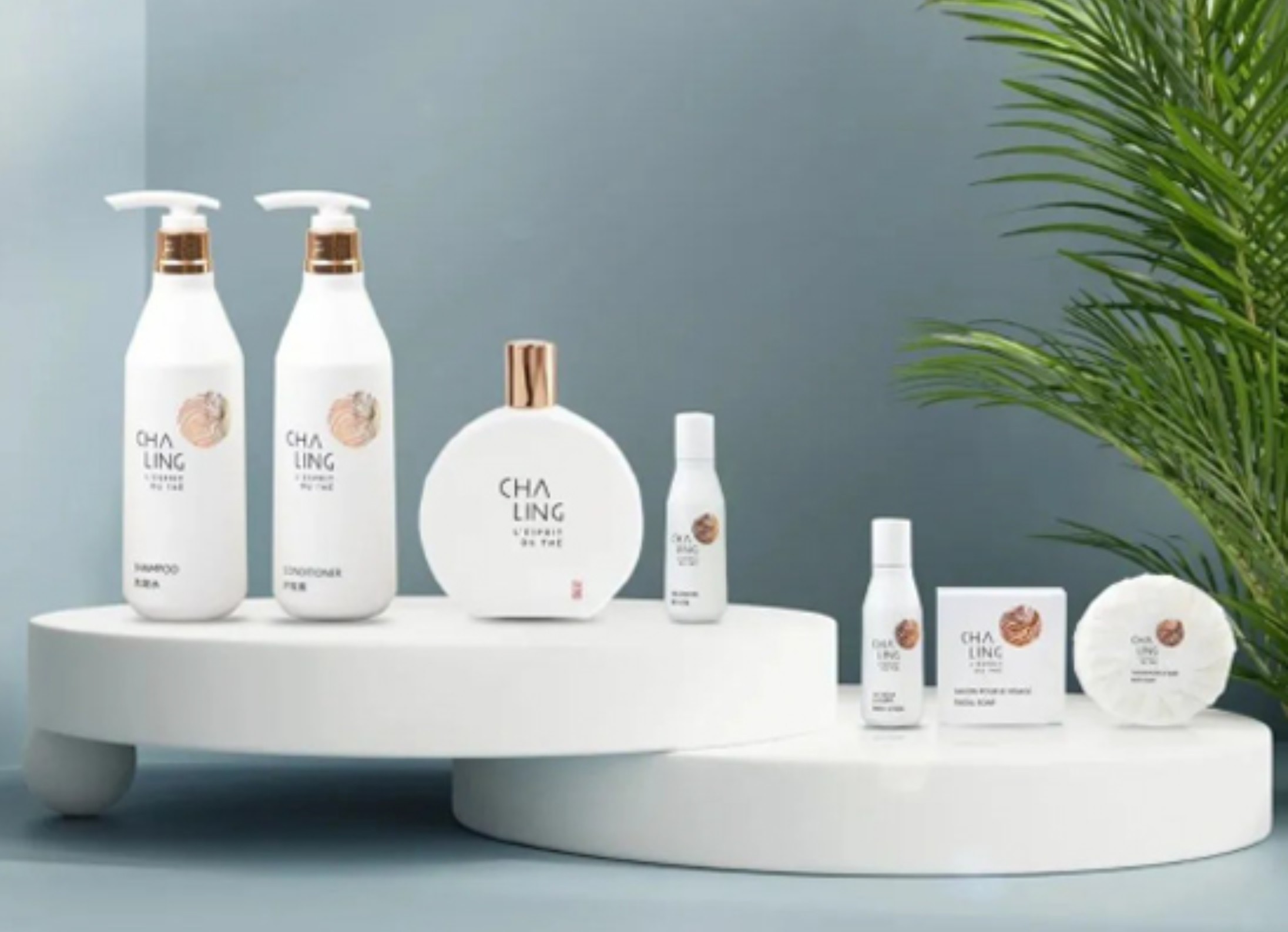 Cha Ling-產品介紹-遠隆國際開發有限公司-遠隆國際開發有限公司 | 飯店備品供應第一品牌